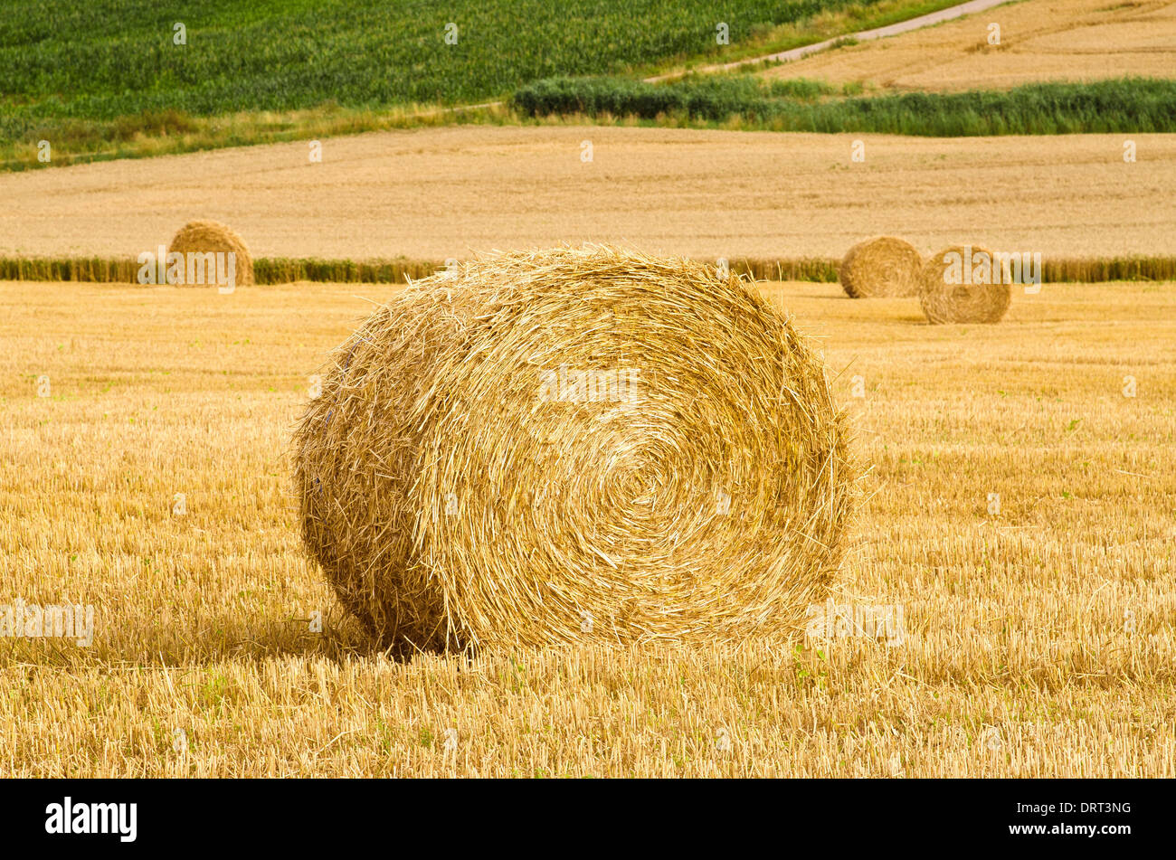 Rolled Round Bale Bales High Resolution Stock Photography and Images ...