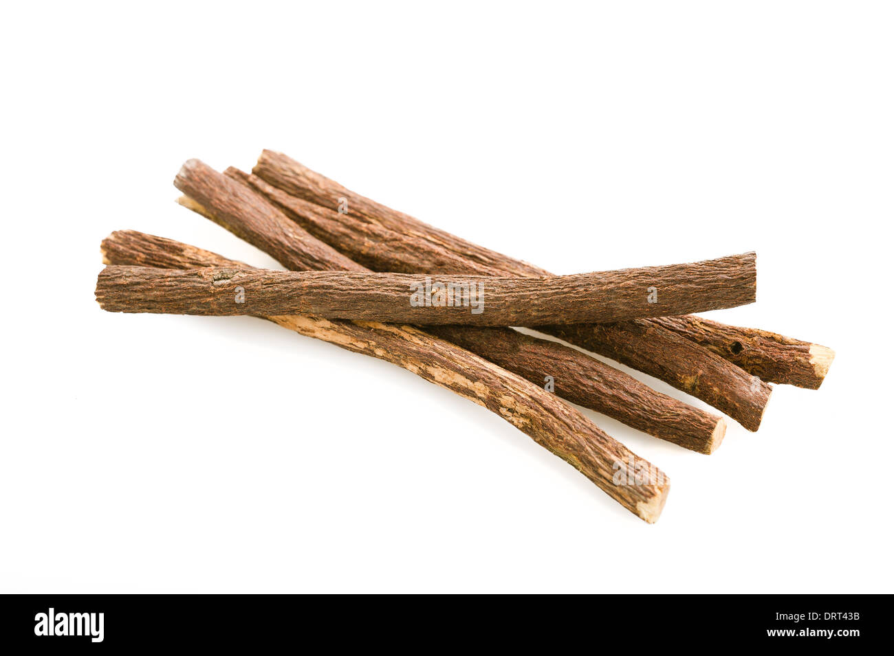 Tree isolated roots hi-res stock photography and images - Alamy