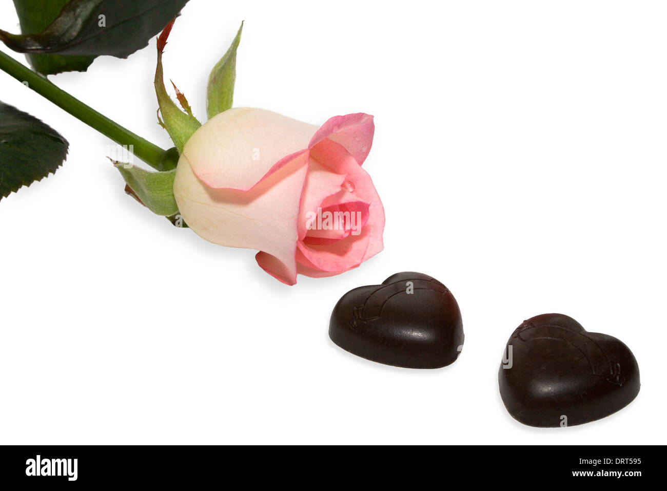Chocolate and pink rose Stock Photo - Alamy