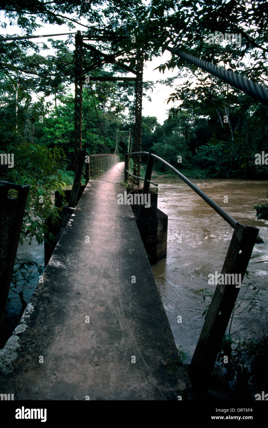 Osogbo Nigeria Osun-Osogbo Sacred Grove Regarded As The Goddess Osun ...