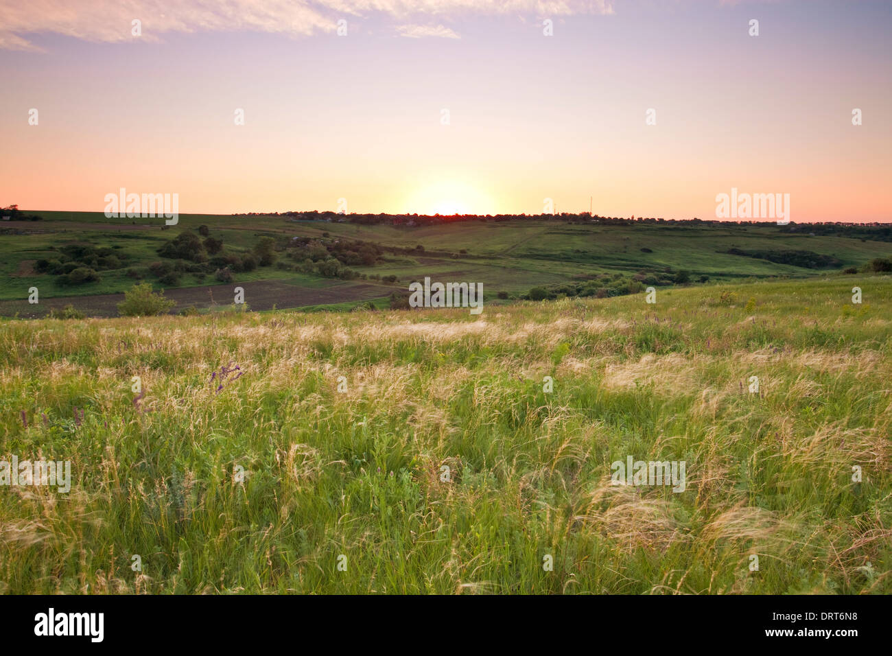 Countryside evening hi-res stock photography and images - Alamy