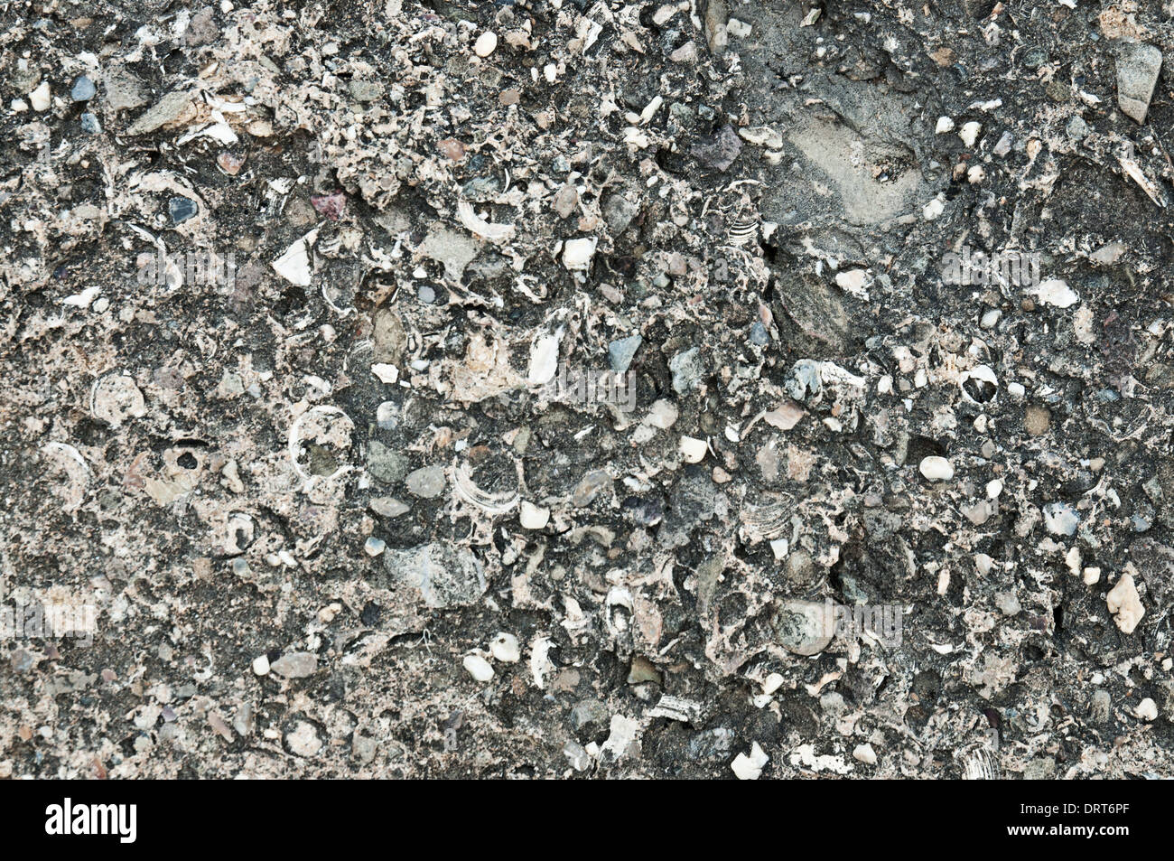 Coquina cement hi-res stock photography and images - Alamy
