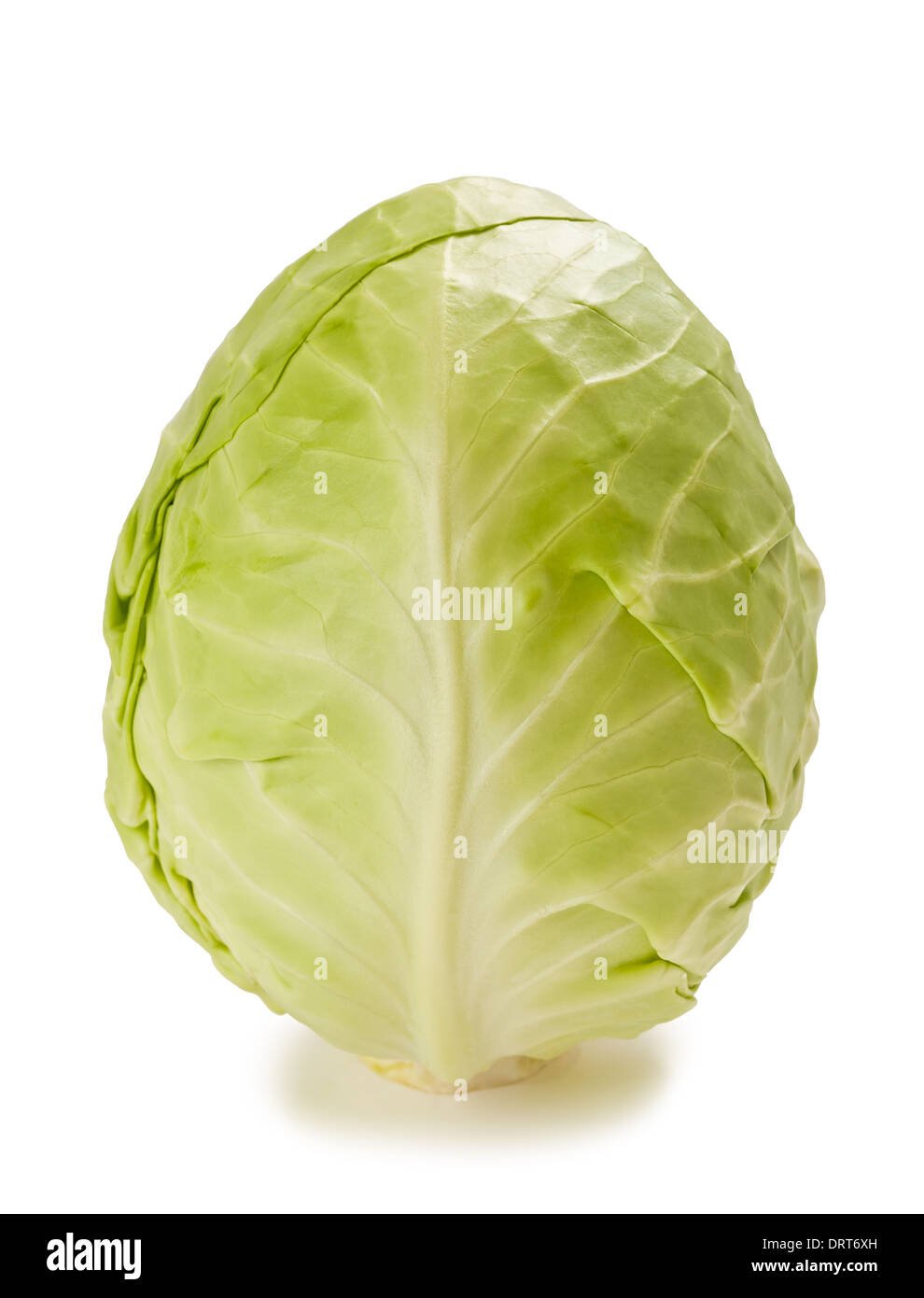 Green cabbage isolated on white background Stock Photo - Alamy