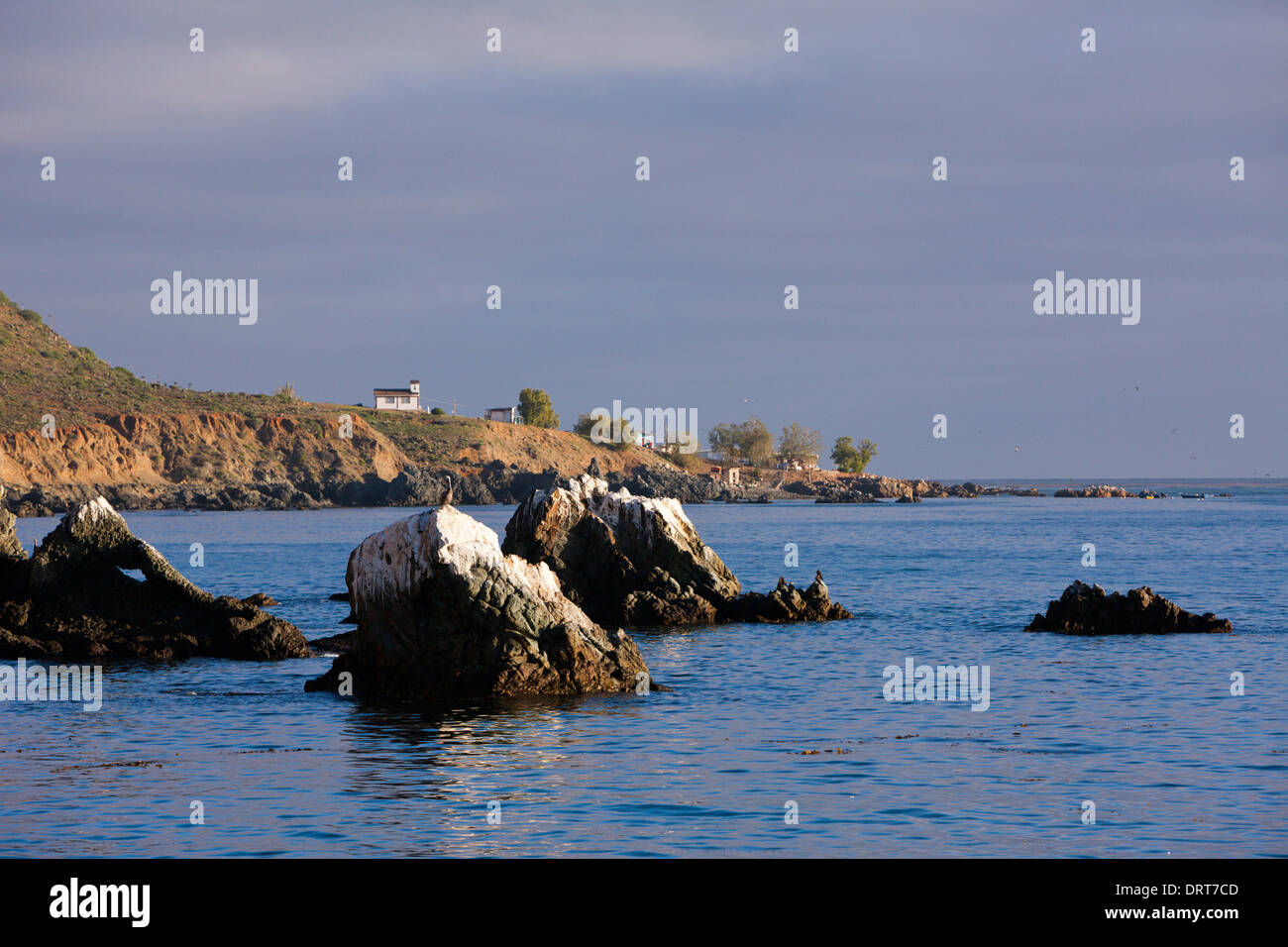 Coast of Cedros Island, Cedros Island, Mexico Stock Photo - Alamy