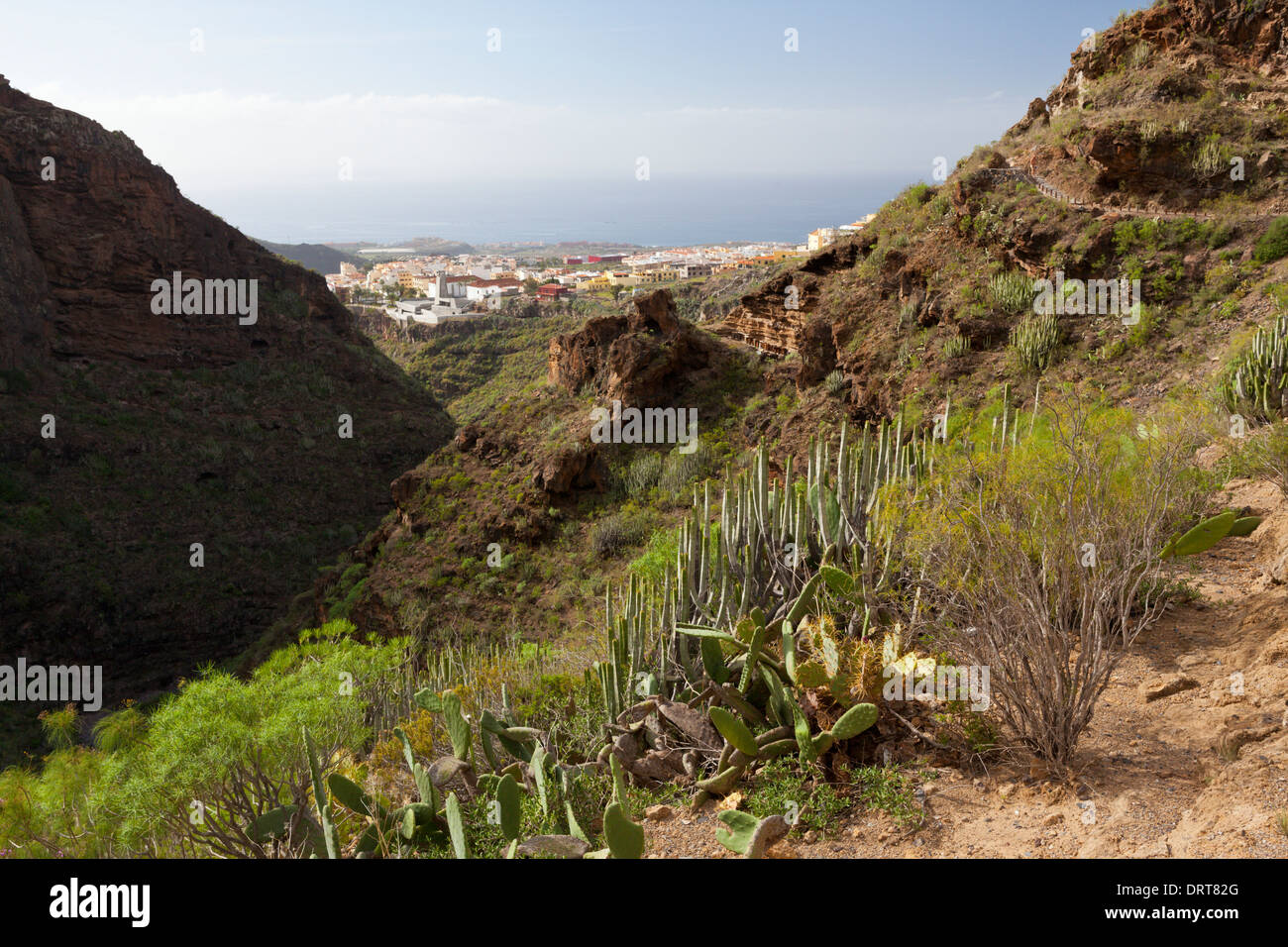 Barranco del Infierno, Adeje, Tenerife, Spain Stock Photo - Alamy