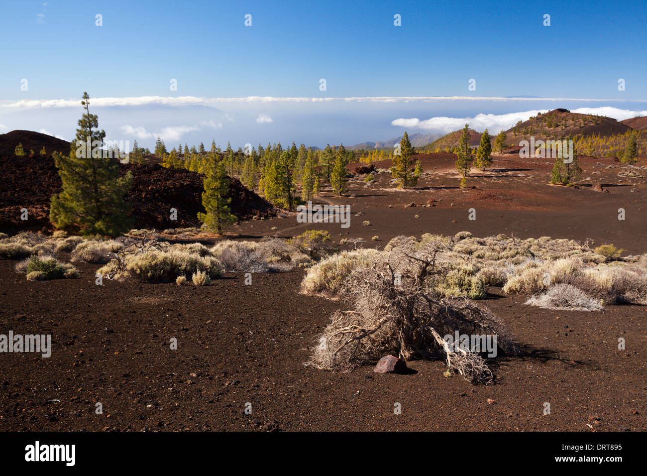 Caldera landscape hi-res stock photography and images - Alamy