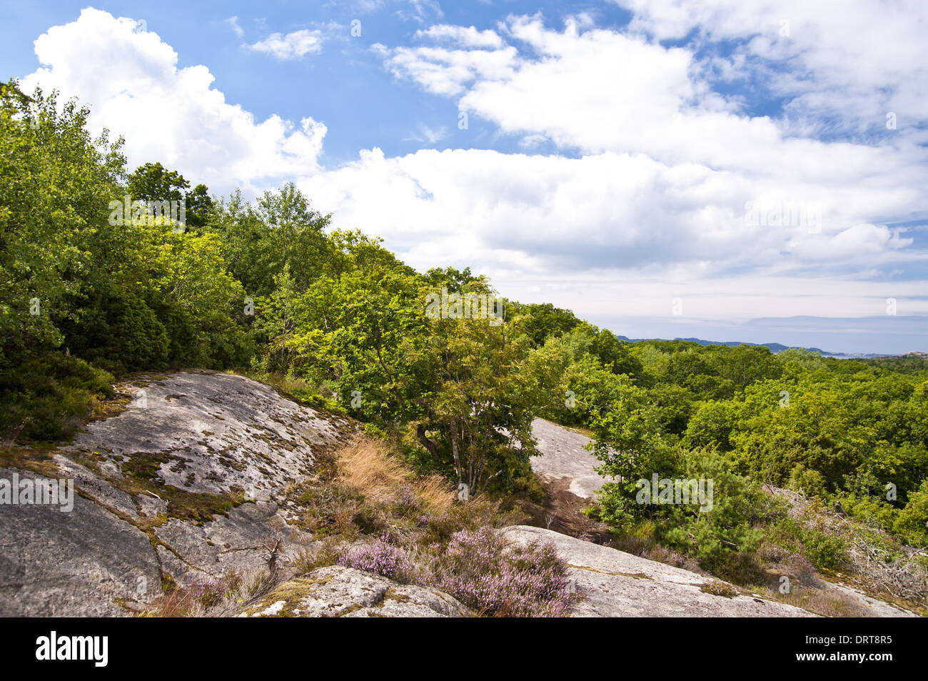 Landscape in Sweden Stock Photo - Alamy
