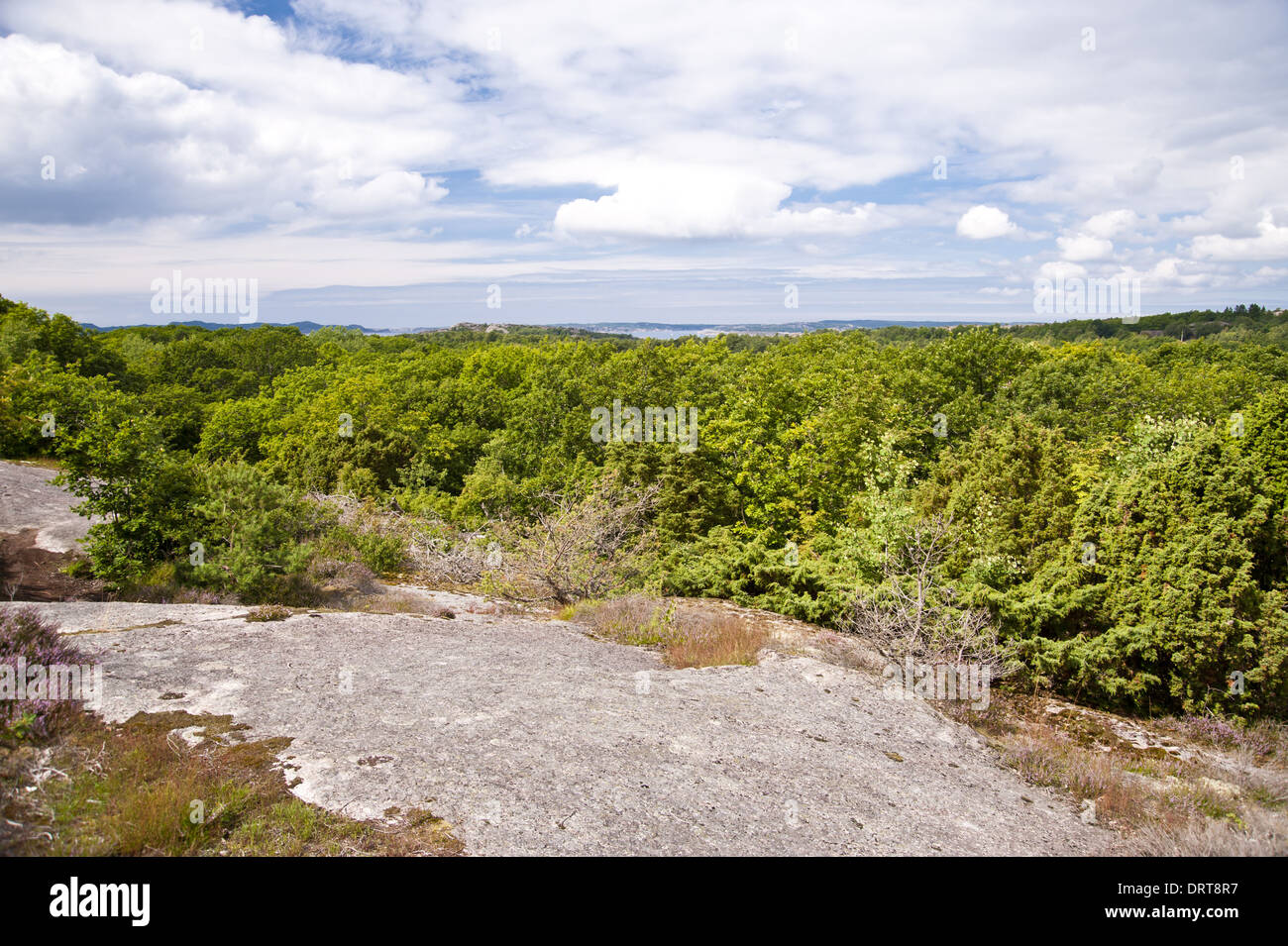 Landscape in Sweden Stock Photo - Alamy