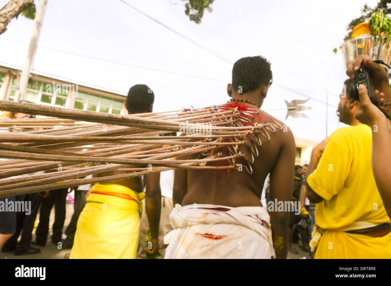 back piercing with hooks, thaipusam Stock Photo - Alamy