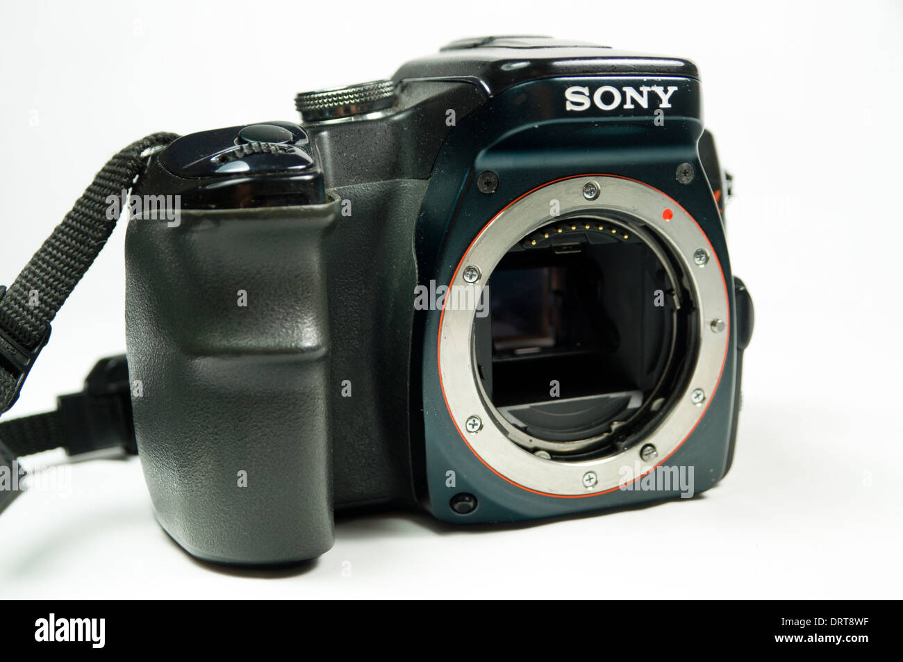 Sony alpha 100 hi-res stock photography and images - Alamy