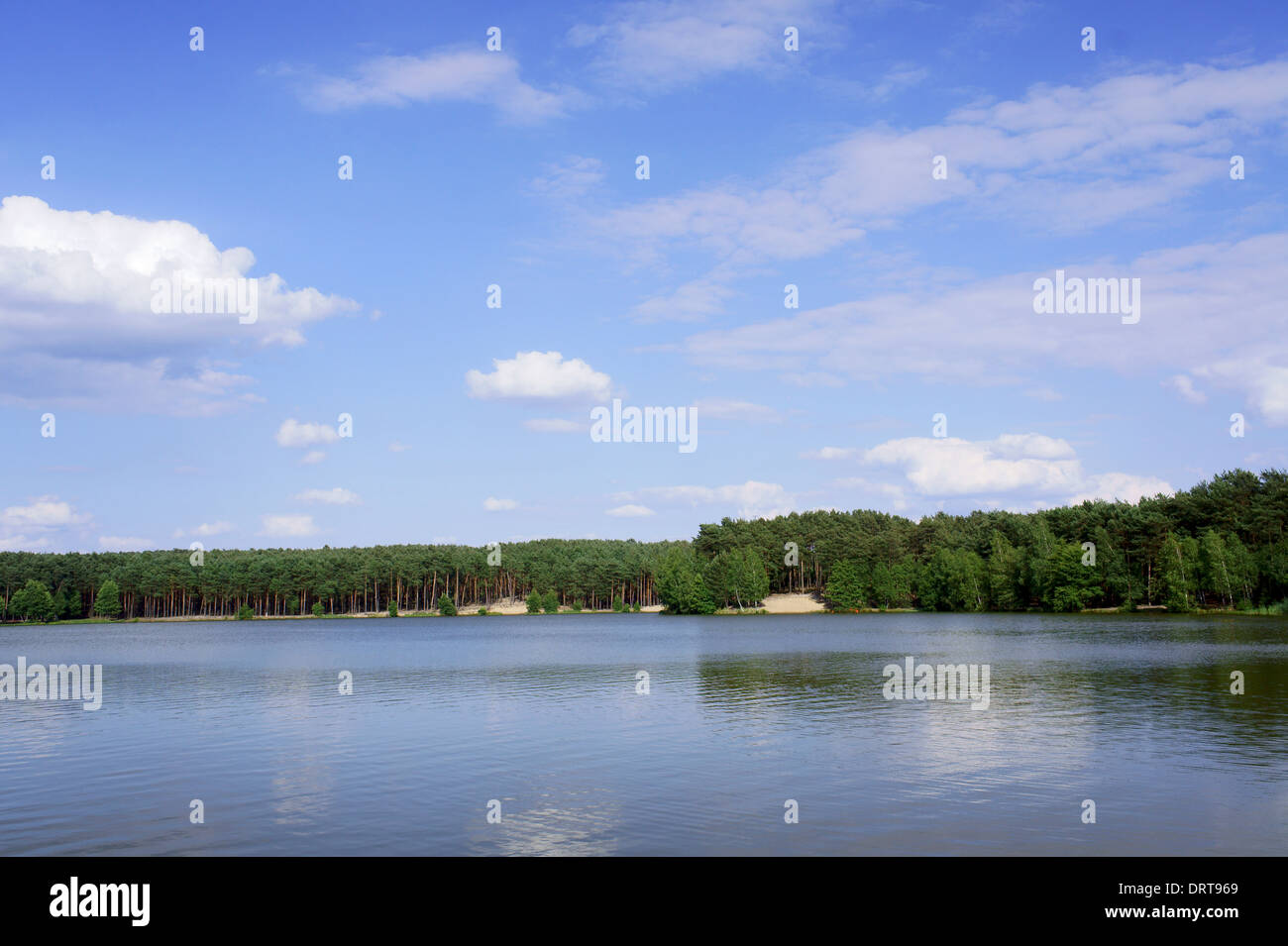 Kobyla hi-res stock photography and images - Alamy
