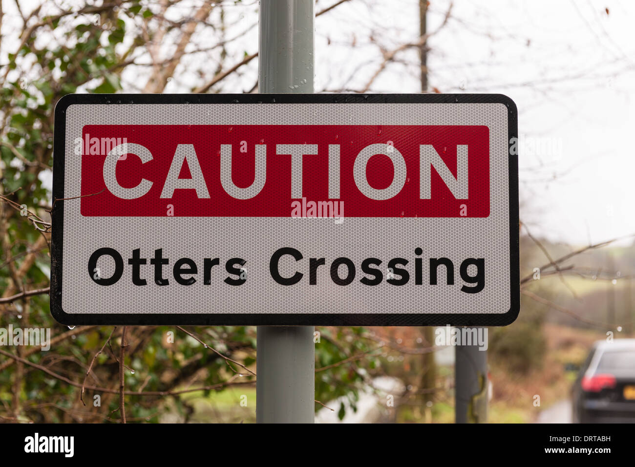 Caution otters crossing hi-res stock photography and images - Alamy