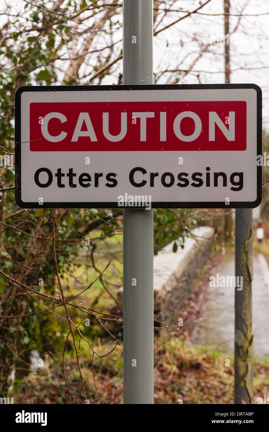 Otters crossing warning hi-res stock photography and images - Alamy