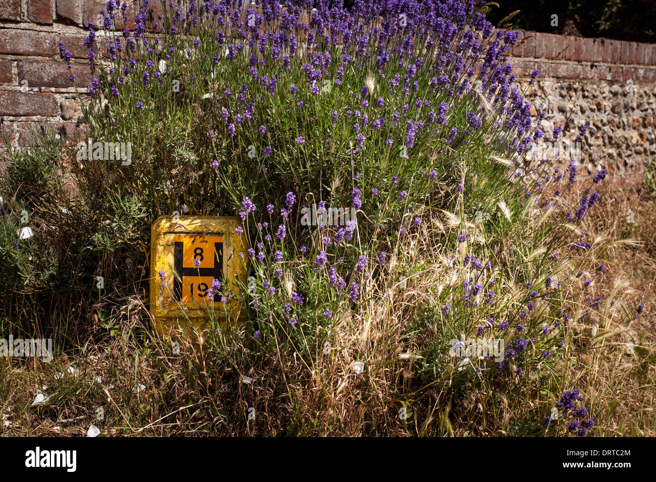 Uk fire hydrant sign hi-res stock photography and images - Alamy