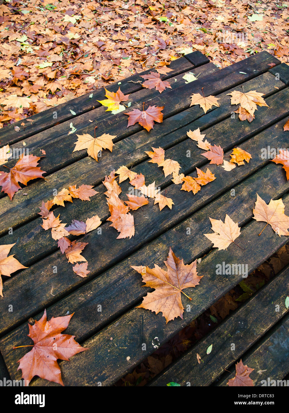 Fall word hi-res stock photography and images - Alamy