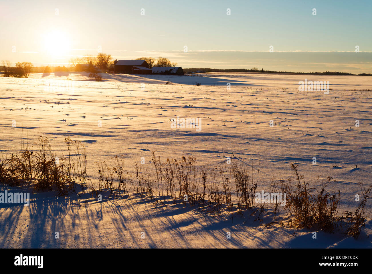 Rural Field Setting High Resolution Stock Photography and Images - Alamy