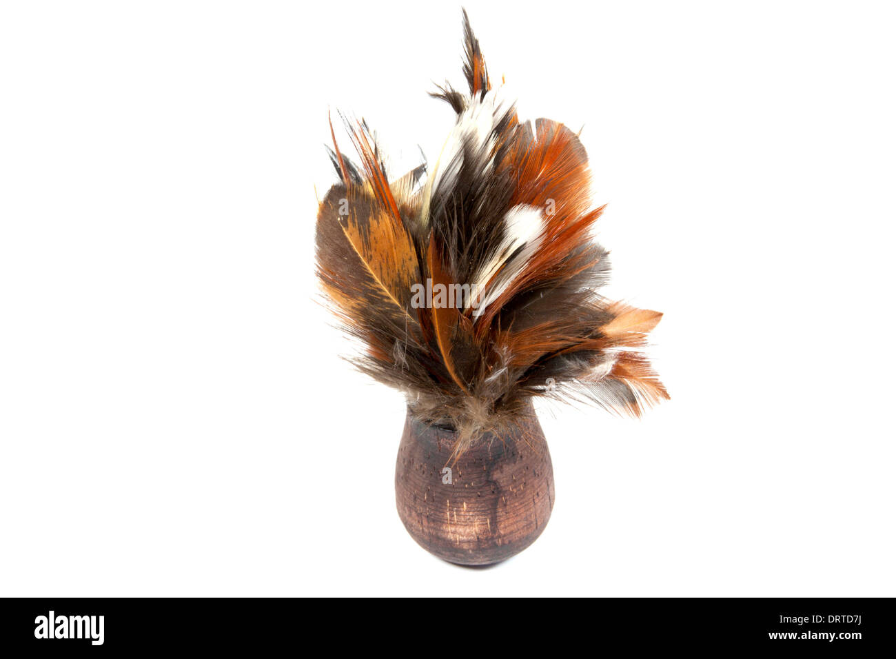 Powder on feathers hi-res stock photography and images - Alamy