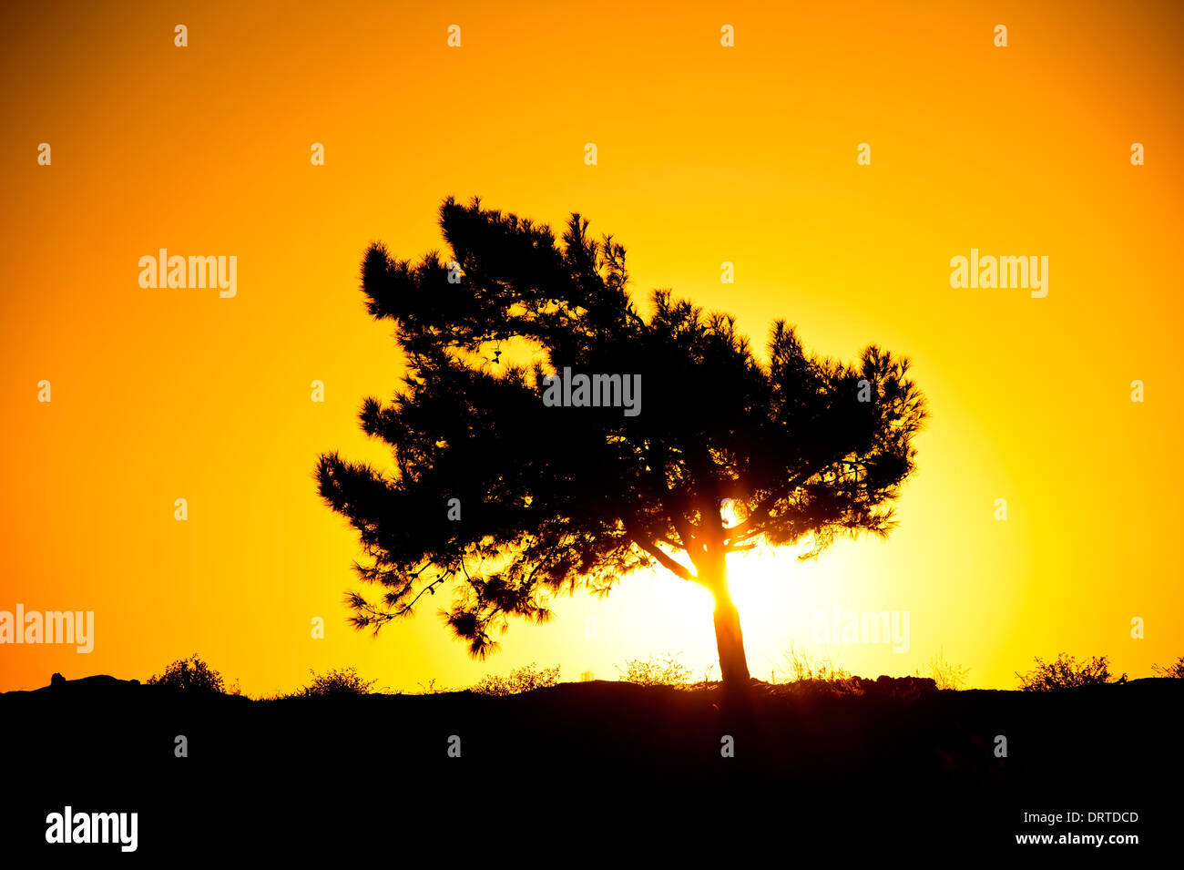 Land of the rising sun hi-res stock photography and images - Alamy