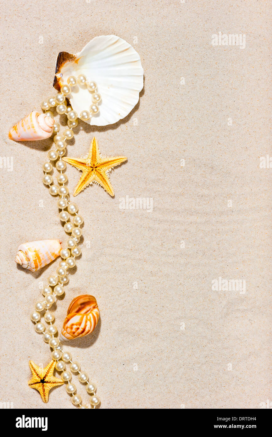 vertical background for inscriptions with shells Stock Photo - Alamy