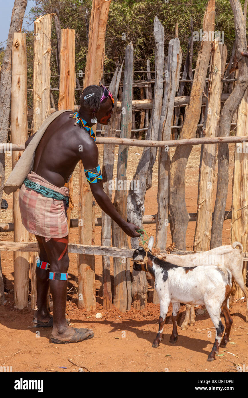 Tribe Of Goats High Resolution Stock Photography and Images - Alamy