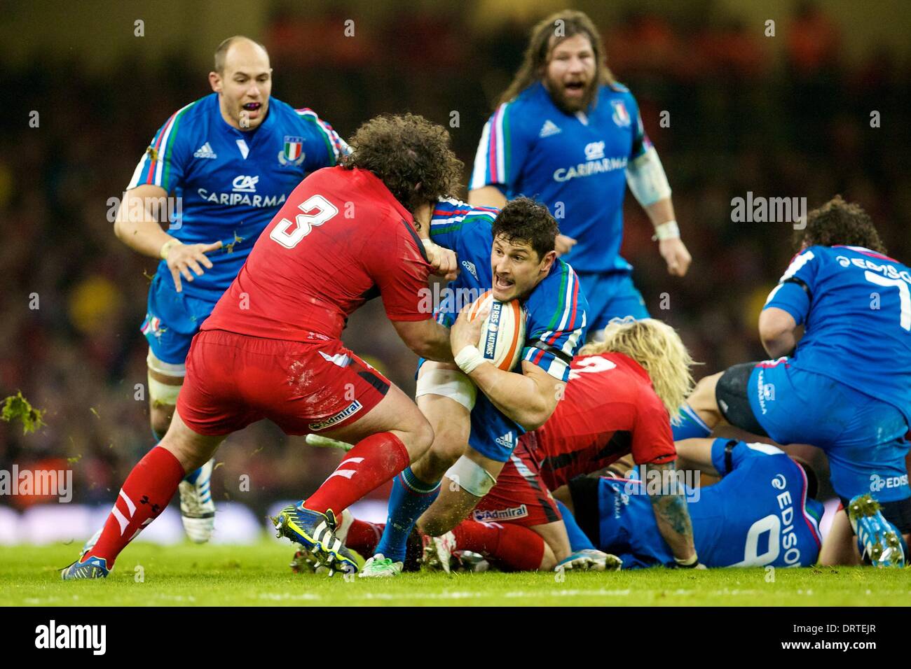 Adam jones ospreys hi-res stock photography and images - Alamy
