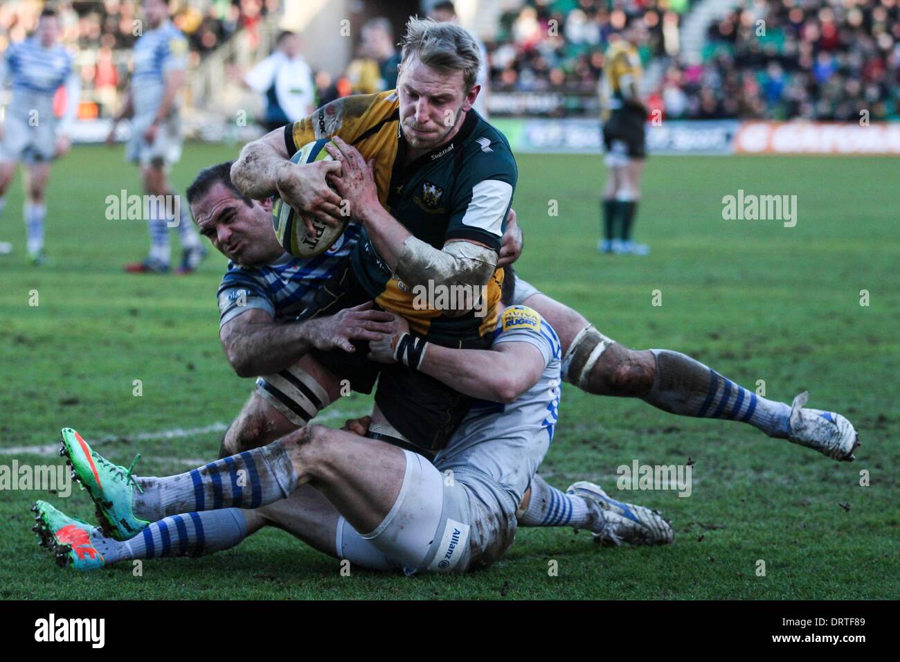 Northampton, UK. 01st Feb, 2014. Ben NUTLEY of Northampton Saints is ...