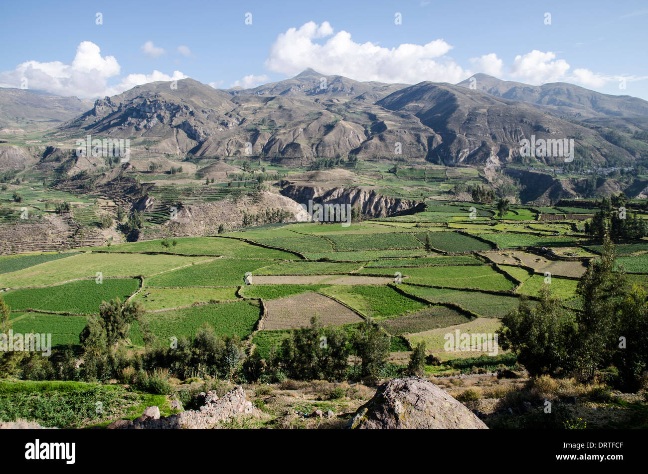 Andean mountains hi-res stock photography and images - Alamy