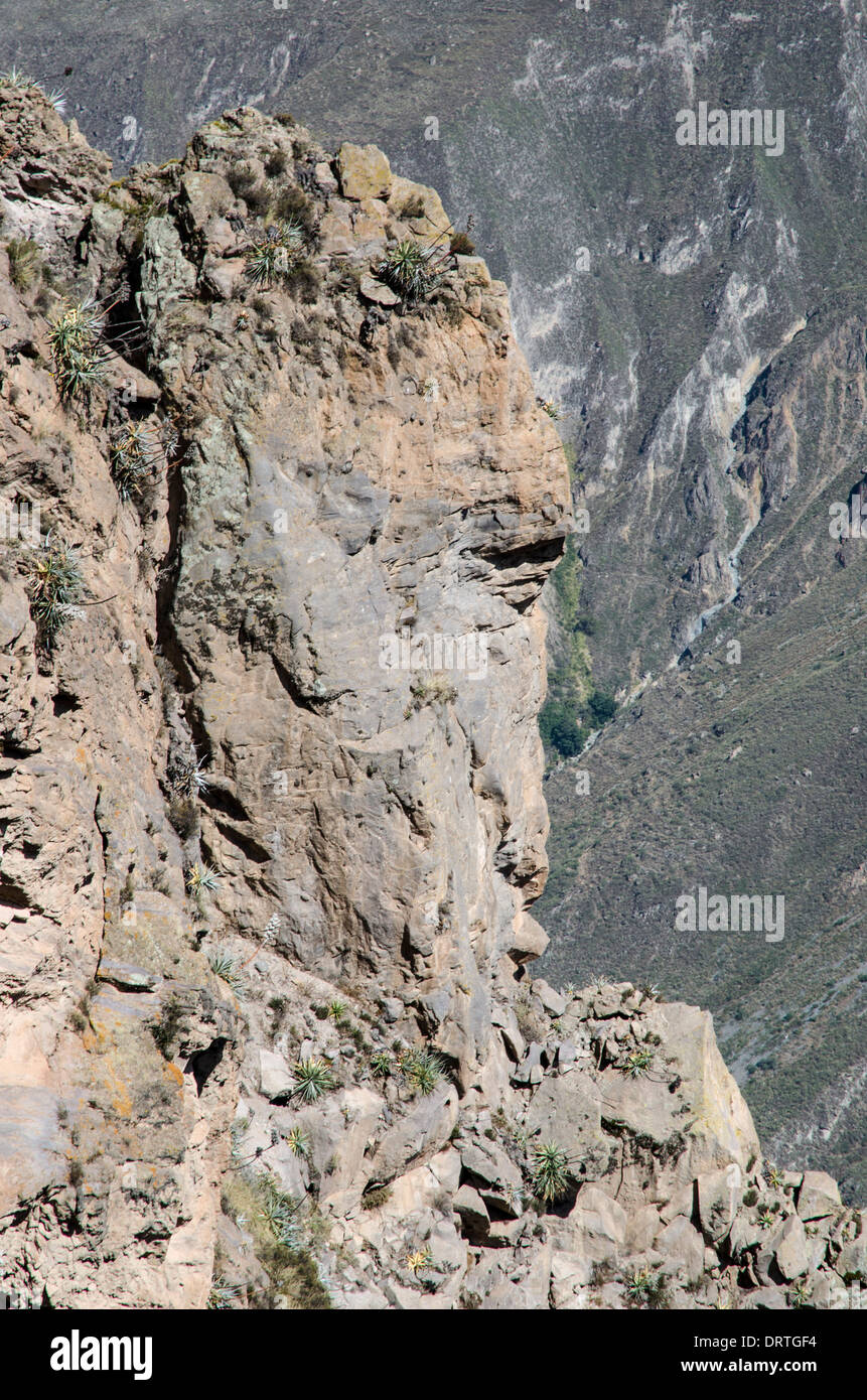Colca canyon. Andean mountains. Arequipa. Peru Stock Photo - Alamy