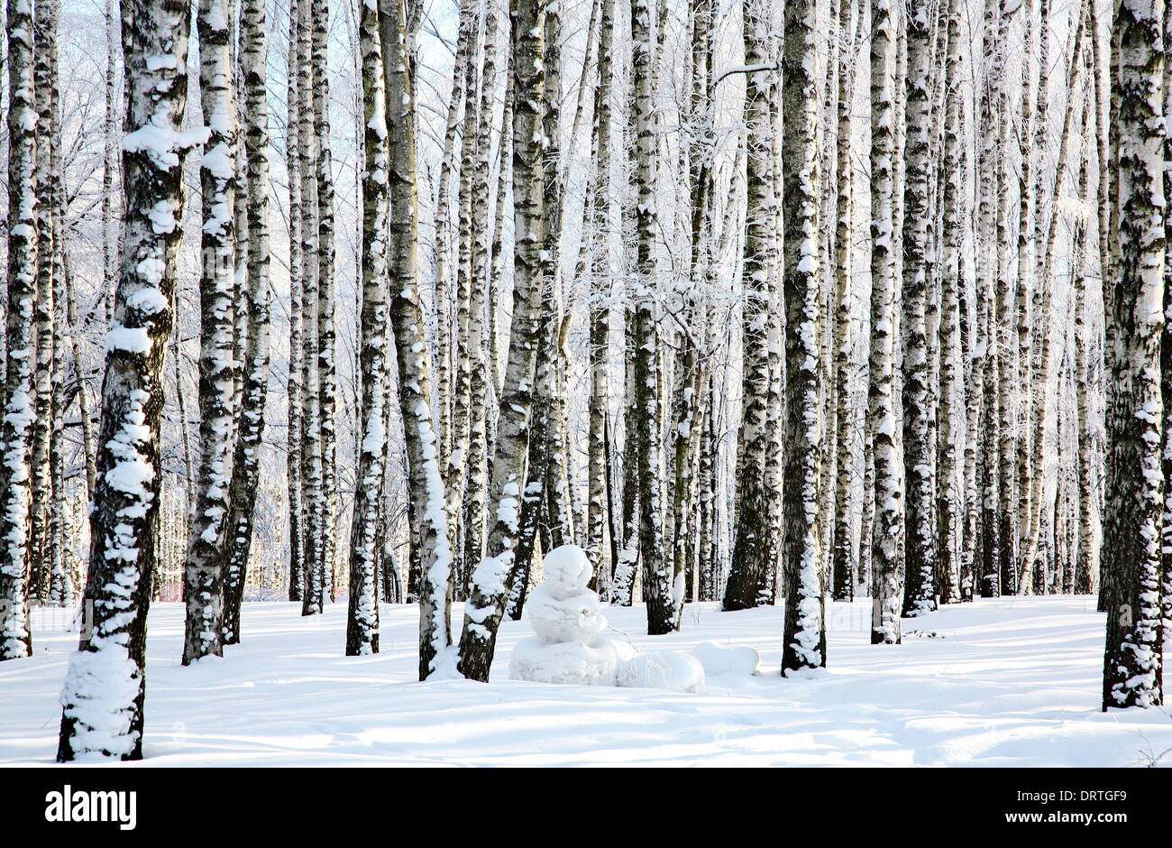Snowman in the forest hi-res stock photography and images - Alamy