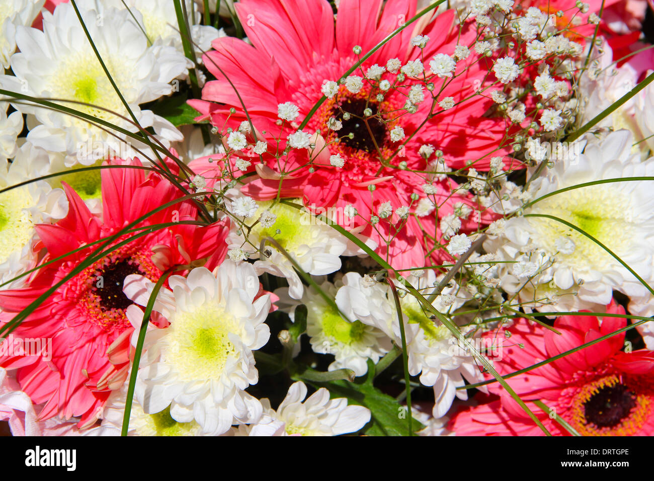 Bunch of different flowers close up background Stock Photo - Alamy