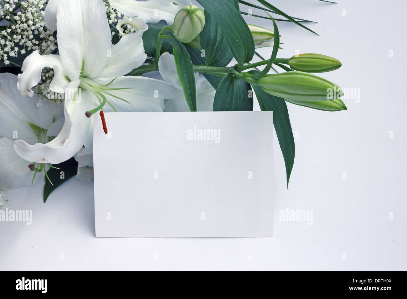 White lily flowers and post card over white background Stock Photo - Alamy