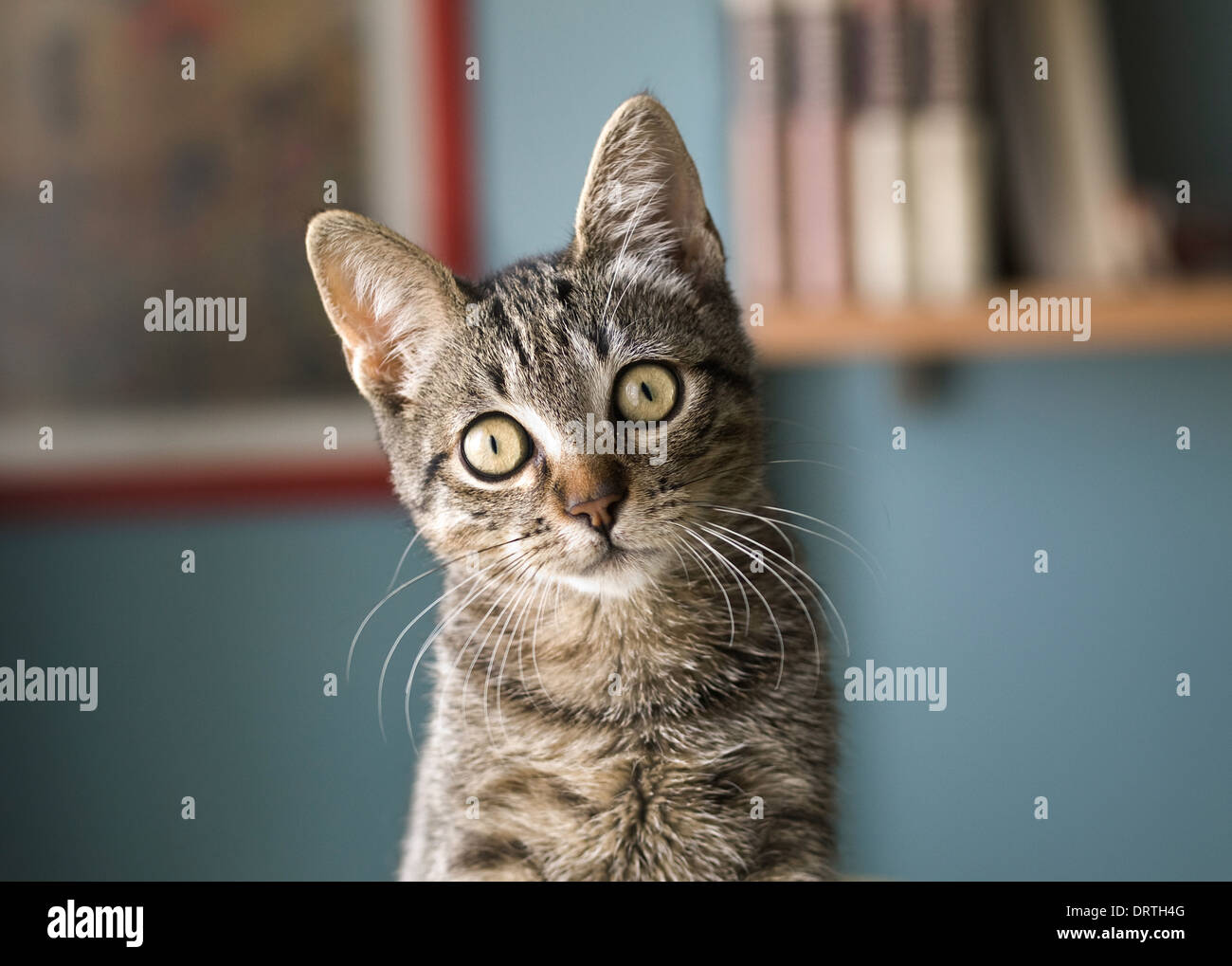 Head tilted hi-res stock photography and images - Alamy