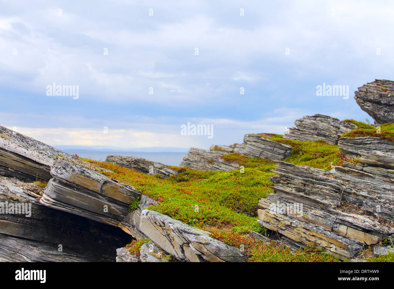 Tundra landscape with moss and mountains hi-res stock photography and ...