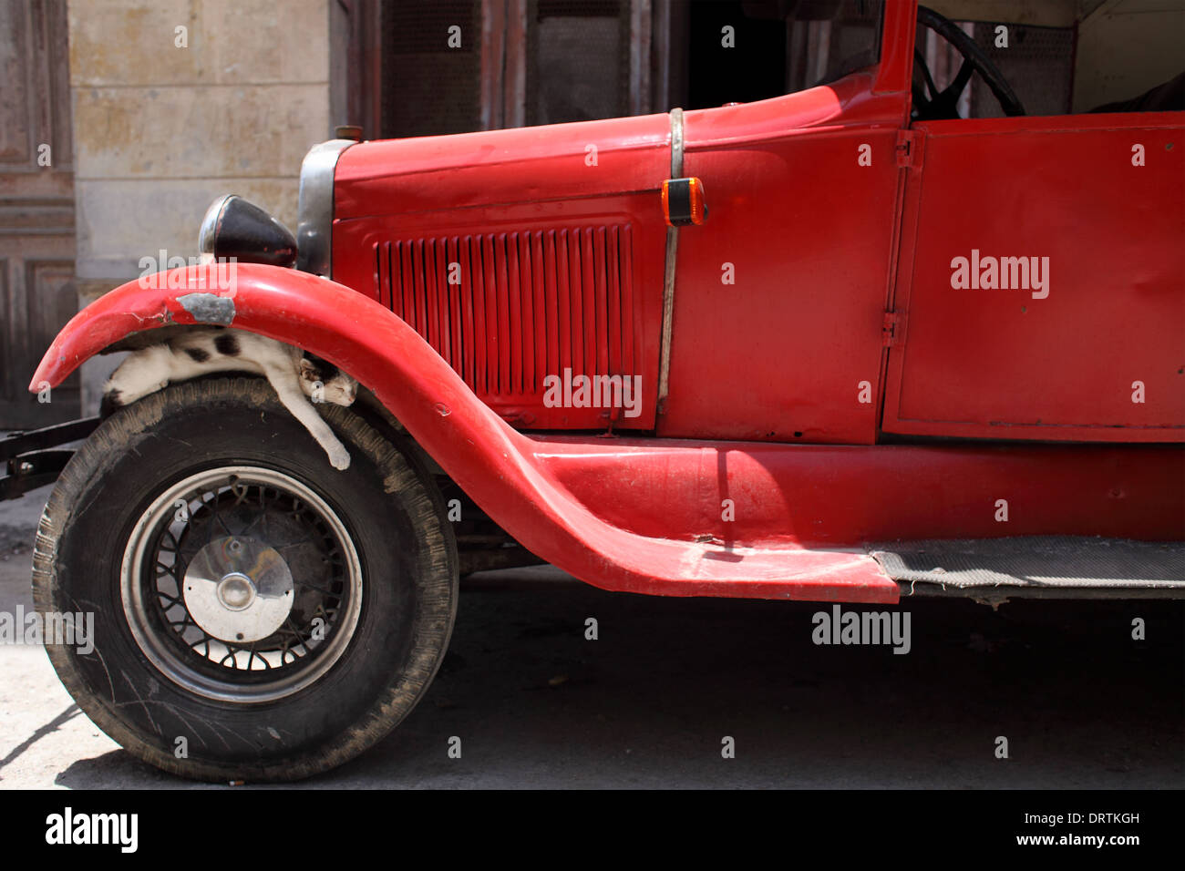 Cat sitting on the wheel of the red Ford Model A in Havana, Cuba Photo ...