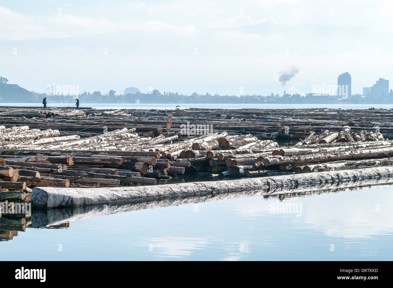 Timber boom hi-res stock photography and images - Alamy