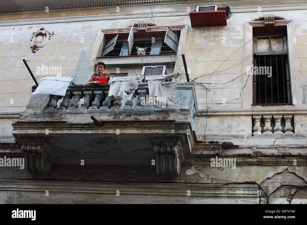 Cuba, Havana street scene - dog Stock Photo - Alamy