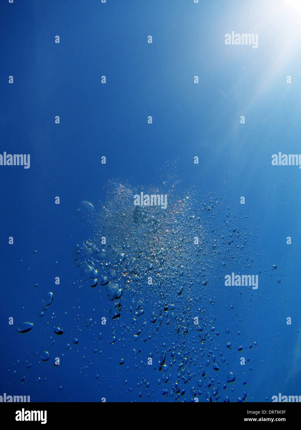 u nder water air bubbles rising to water surface with sunlight in ...