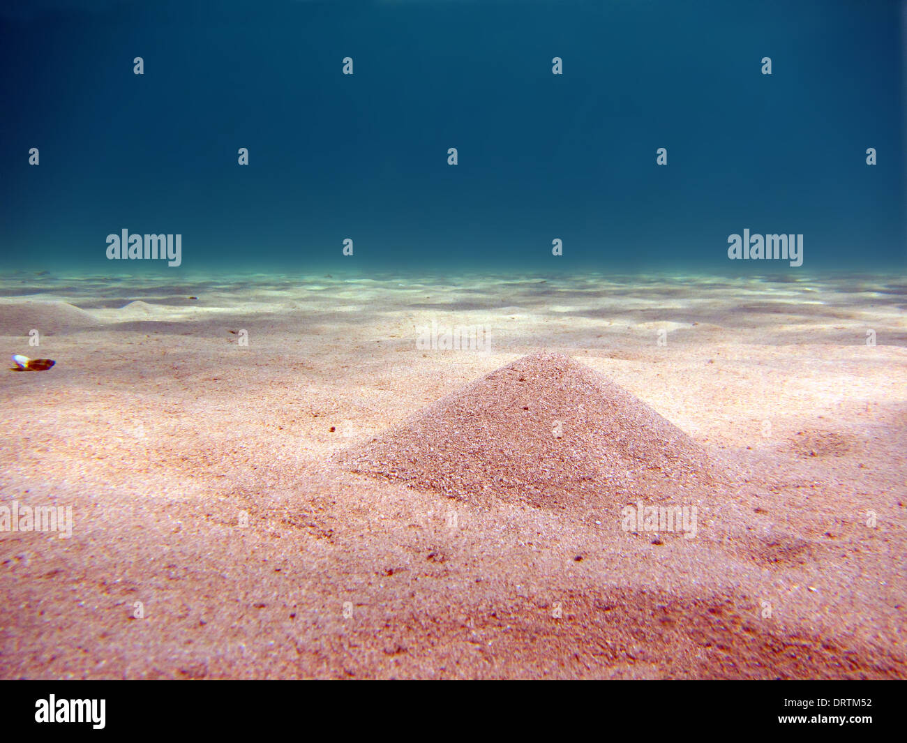 Sea bottom bed hi-res stock photography and images - Alamy