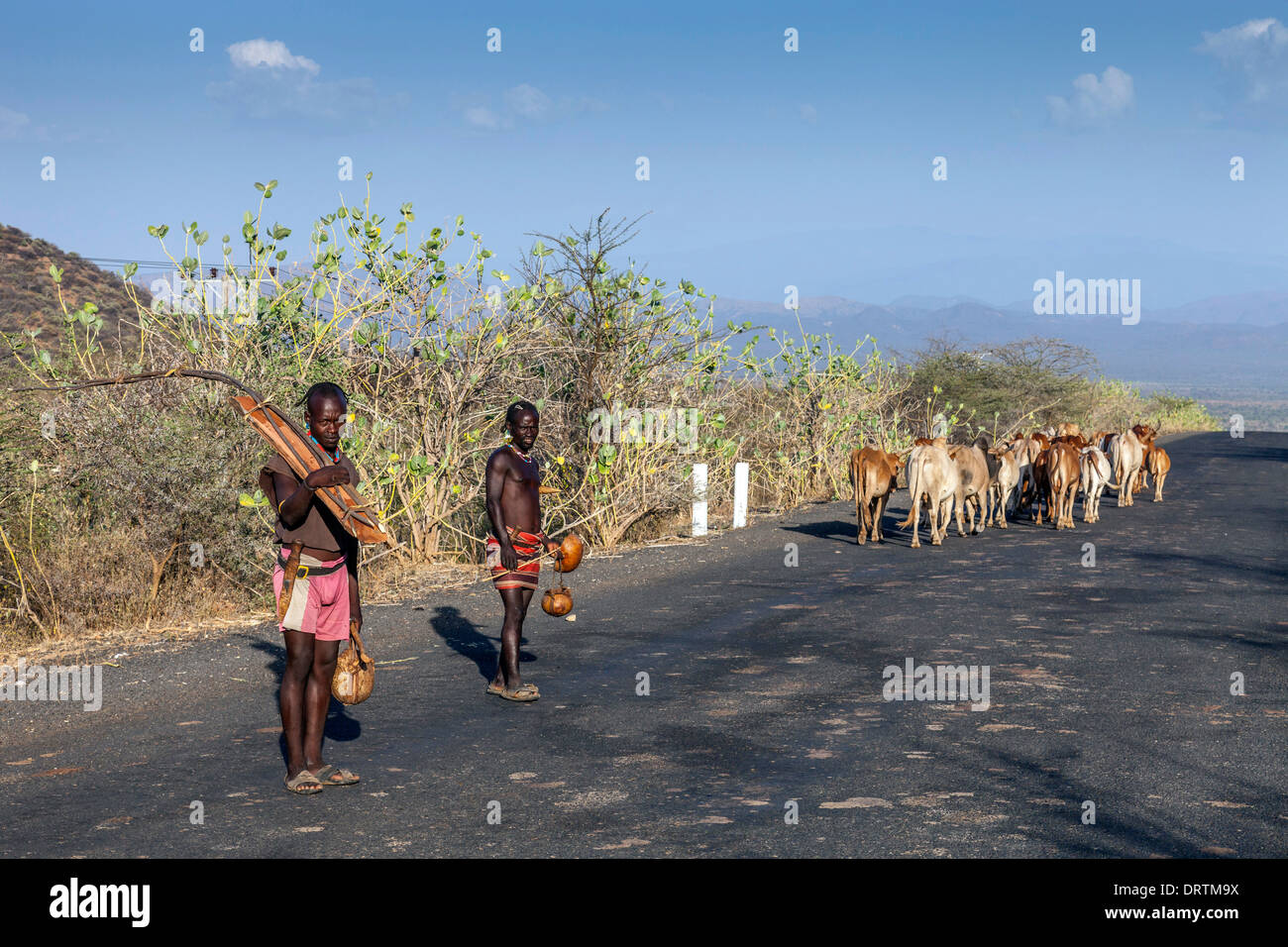 Cattle Herders From The Banna Tribe On The Road, Omo Valley, Ethiopia ...