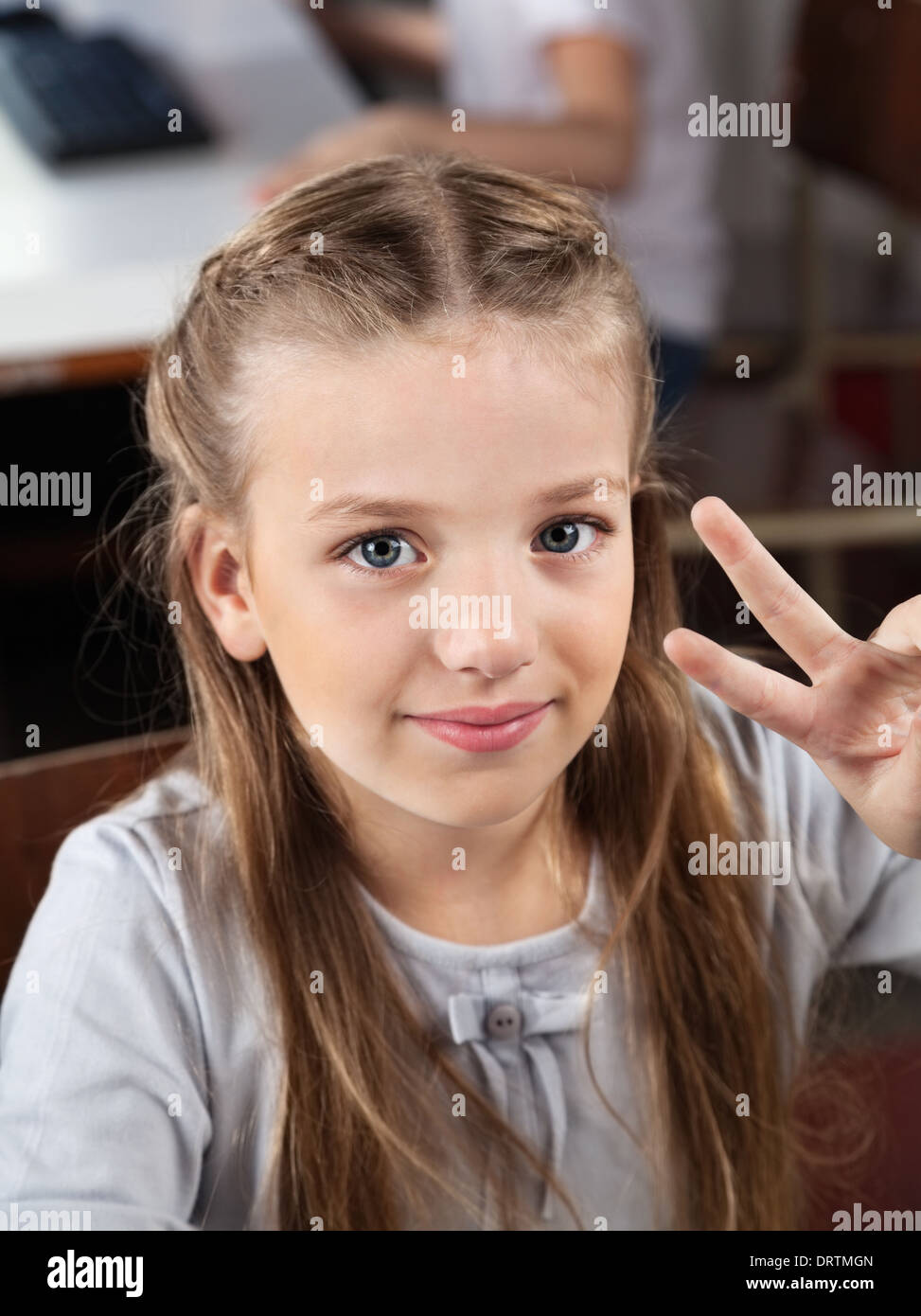 Blond lab hi-res stock photography and images - Alamy