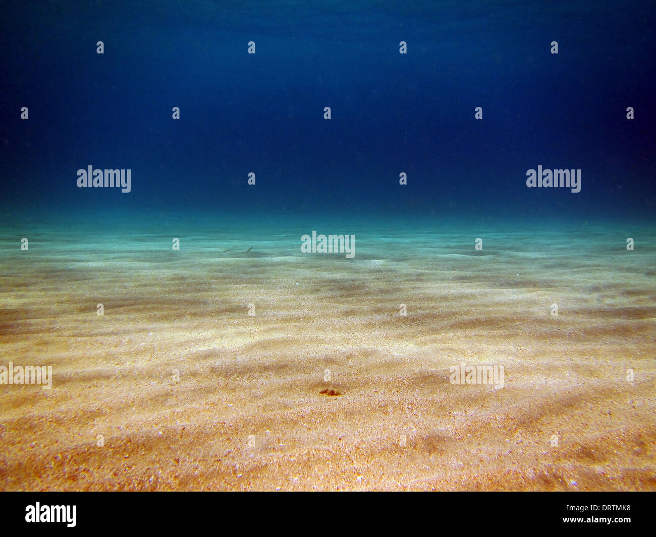 Sea bottom bed hi-res stock photography and images - Alamy