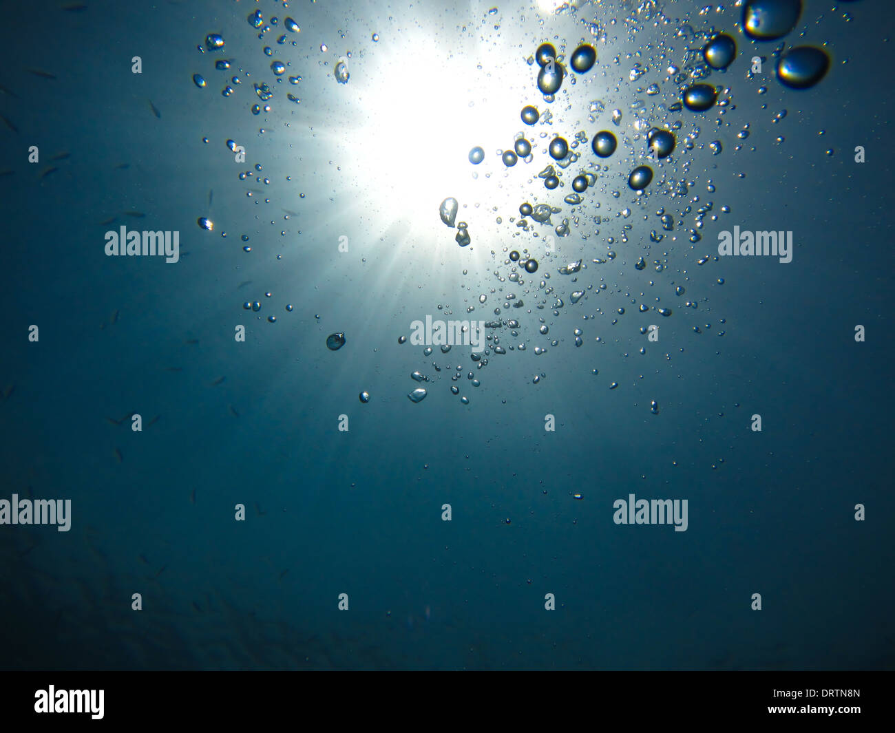 underwater sun reflections and air bubbles Stock Photo - Alamy