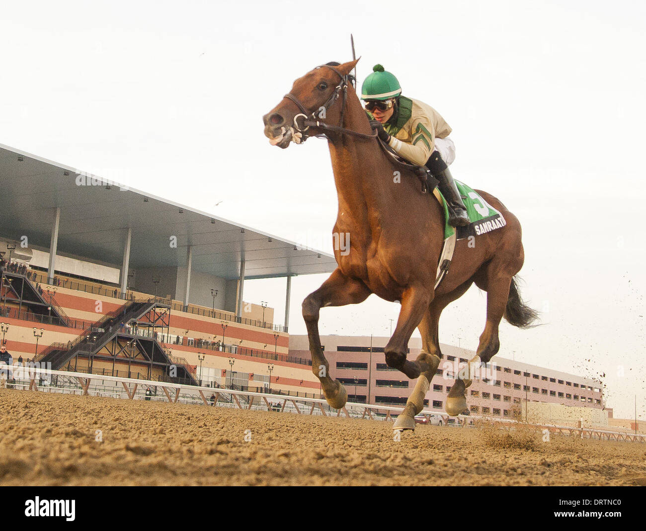 Aqueduct race track hi-res stock photography and images - Alamy