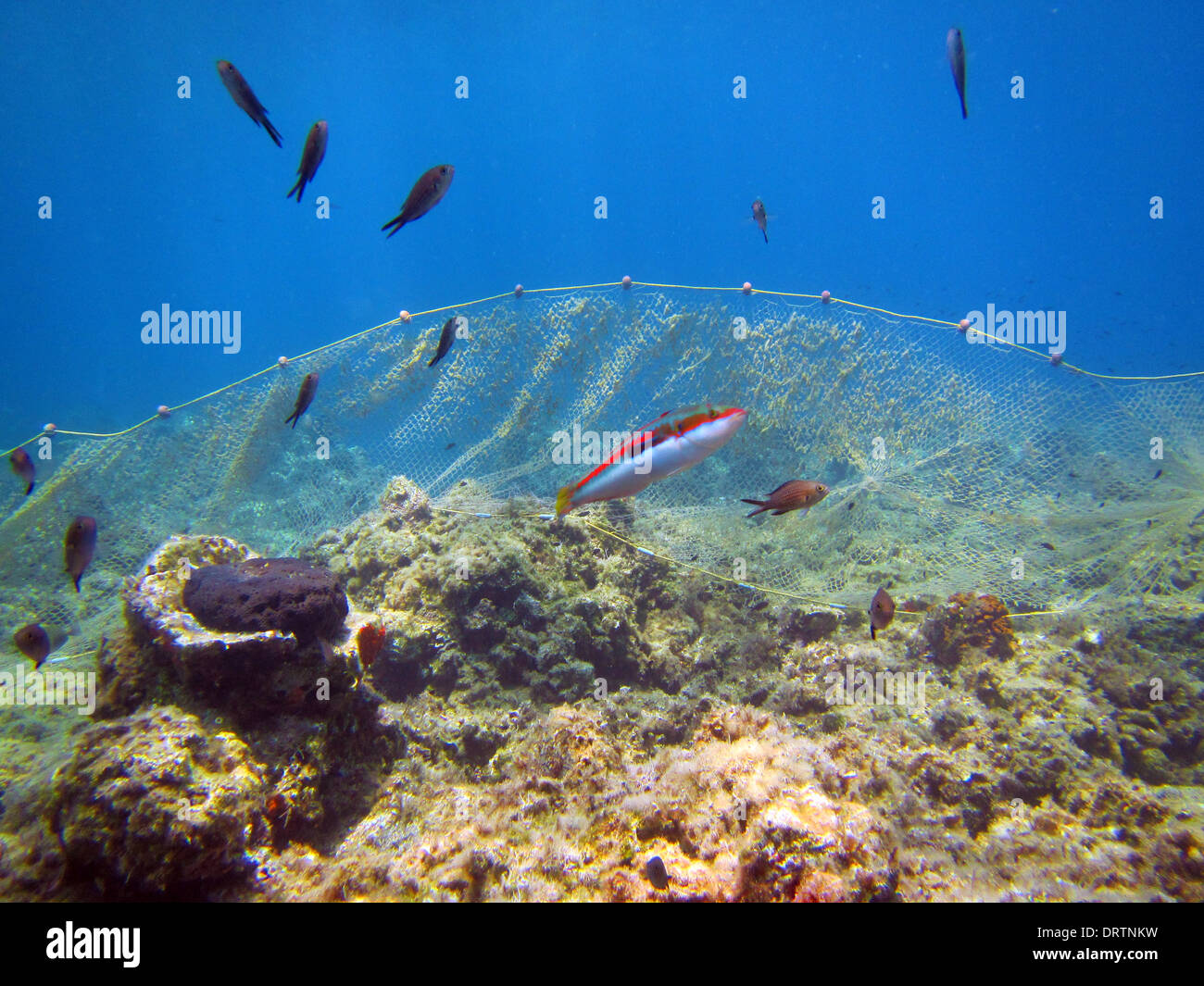 Underwater fishing nets hi-res stock photography and images - Alamy