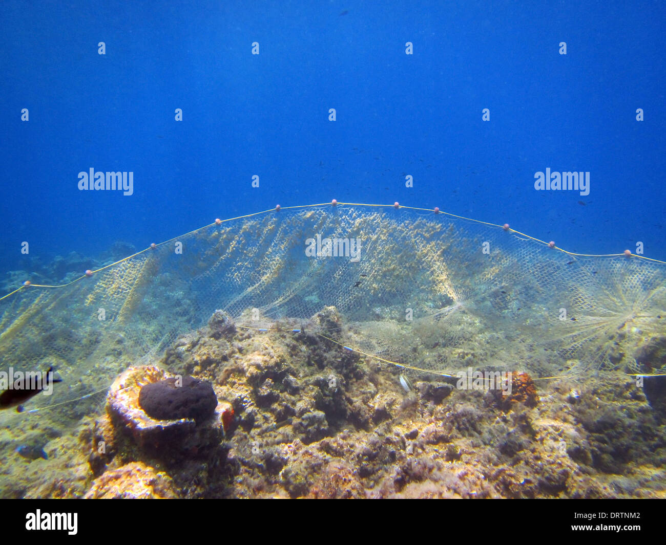 Underwater fishing nets hi-res stock photography and images - Alamy