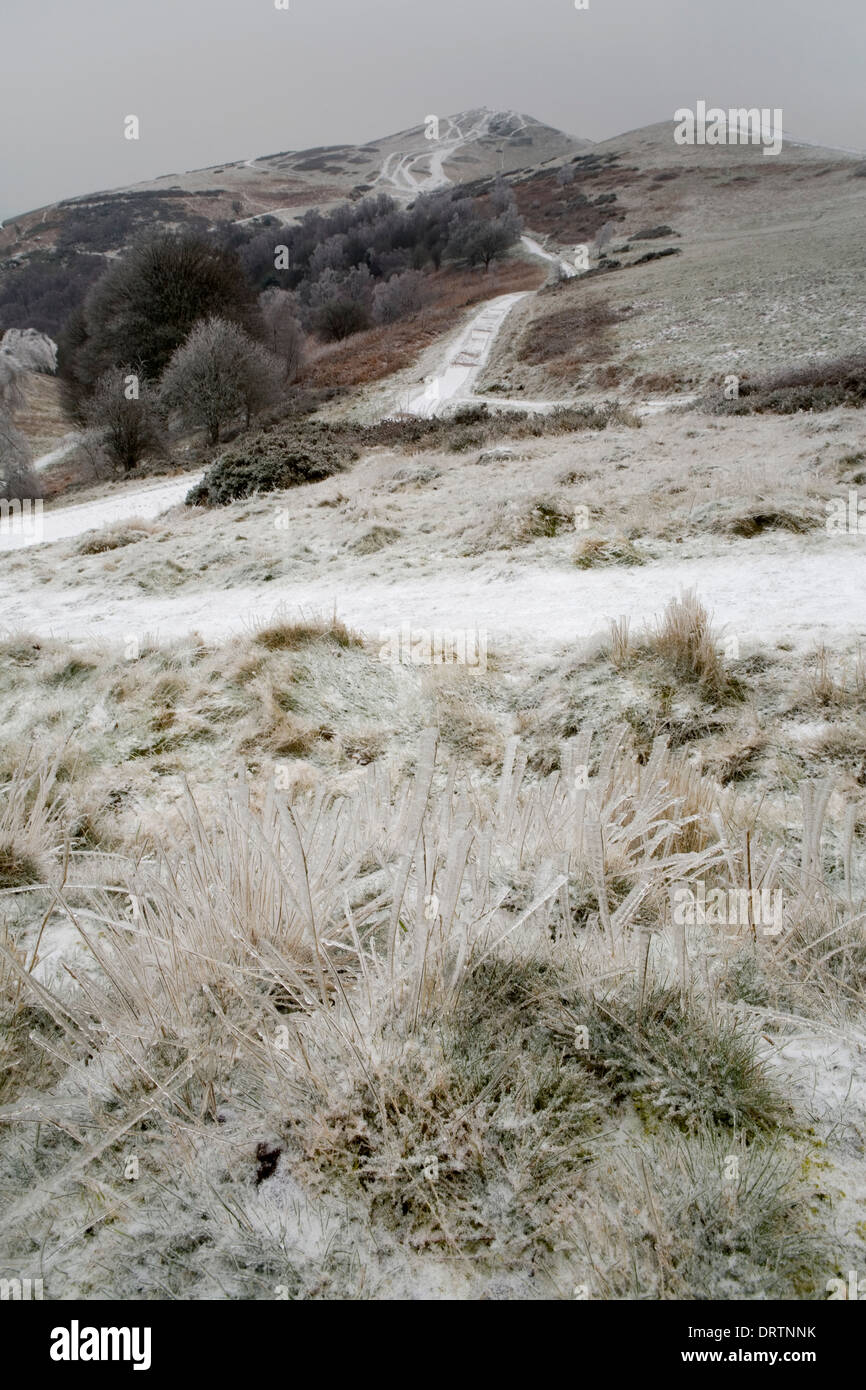 Frozen Grass caused by freezing rain on the beacon, Malvern Hills ...