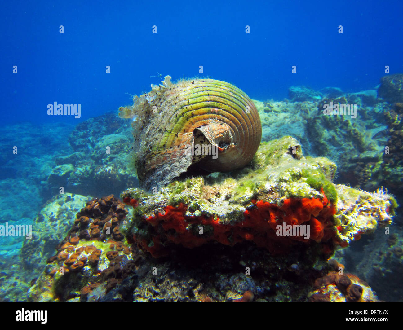 Iin bed hi-res stock photography and images - Alamy