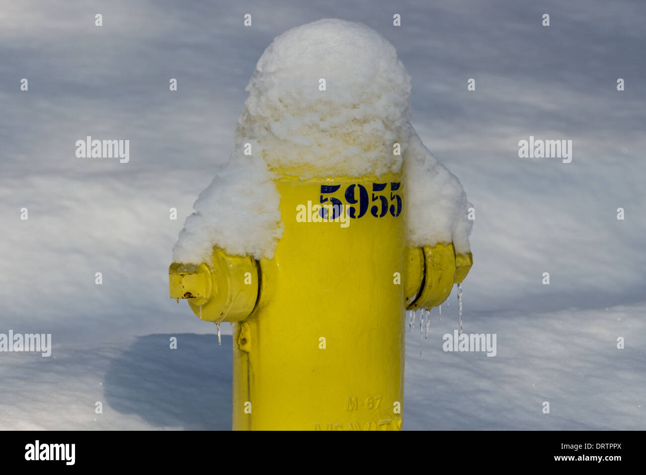 A snow covered fire hydrant Stock Photo - Alamy