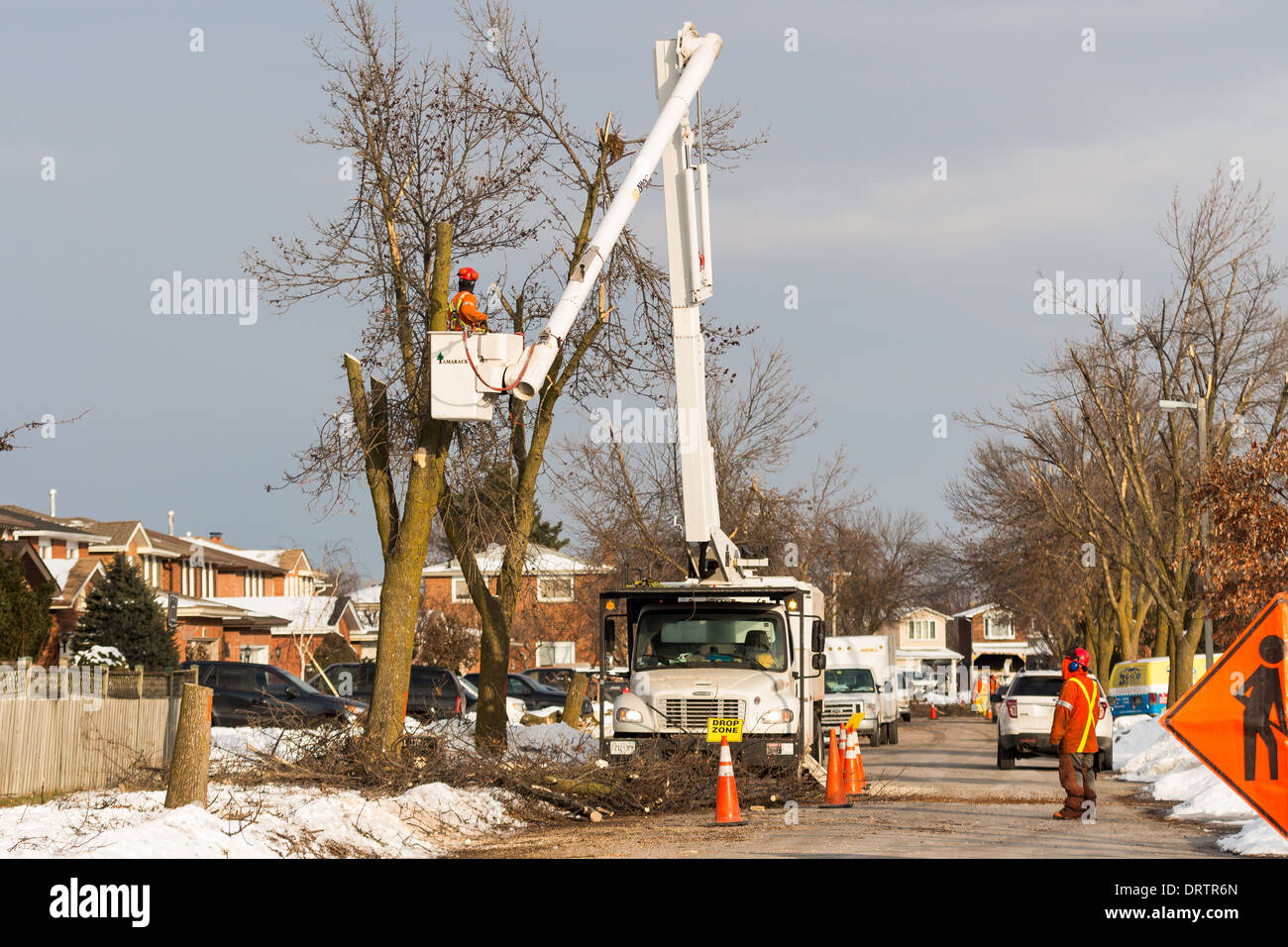 Tree lift hi-res stock photography and images - Alamy