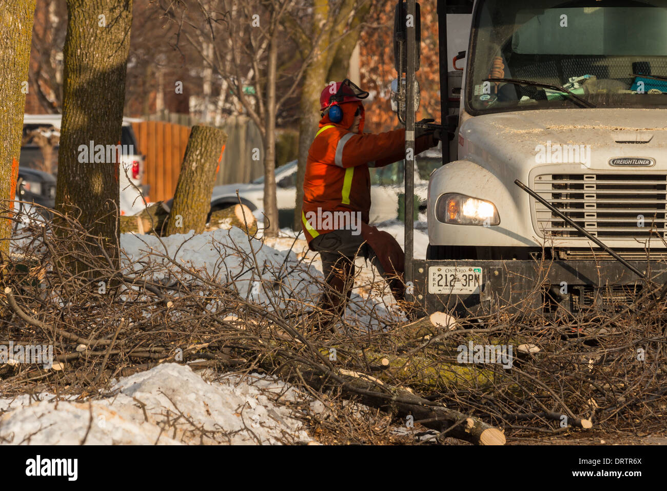 Forestry crews and residents remove tree debris after a crippling ice ...
